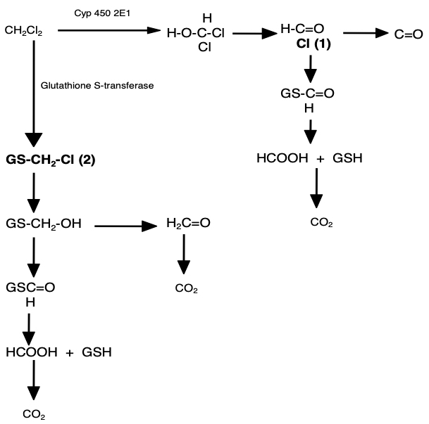 DICHLOROMETHANE (BEI) - ACGIH