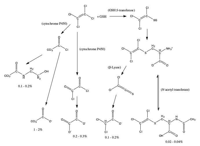TETRACHLOROETHYLENE (BEI) - ACGIH