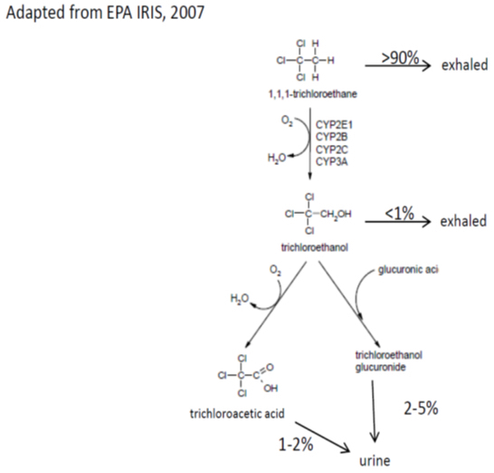 METHYL CHLOROFORM (BEI) - ACGIH