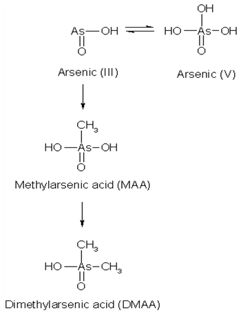 ARSENIC AND SOLUBLE INORGANIC COMPOUNDS* - ACGIH