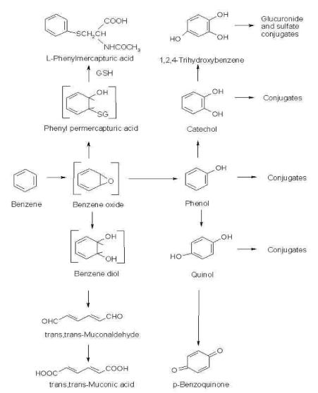 BENZENE (BEI) - ACGIH