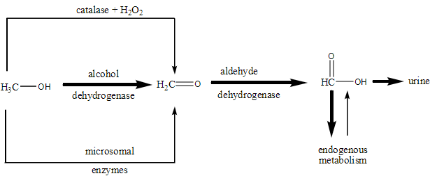 METHANOL (BEI) - ACGIH
