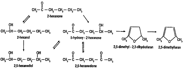 METHYL n-BUTYL KETONE - ACGIH