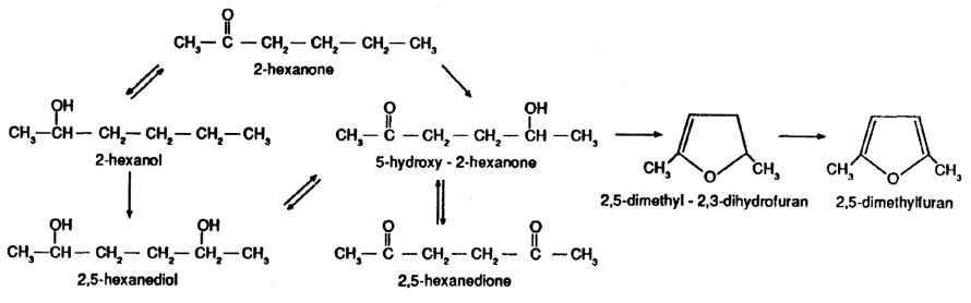 METHYL n-BUTYL KETONE - ACGIH